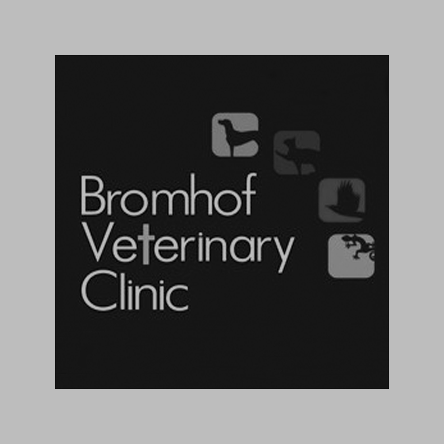 Companion | Veterinary Practices